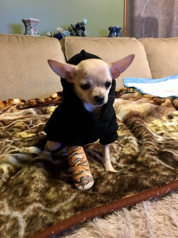 Meloxidyl (Meloxicam) Oral Suspension for Dogs, 1.5 mg/mL at Tractor ...