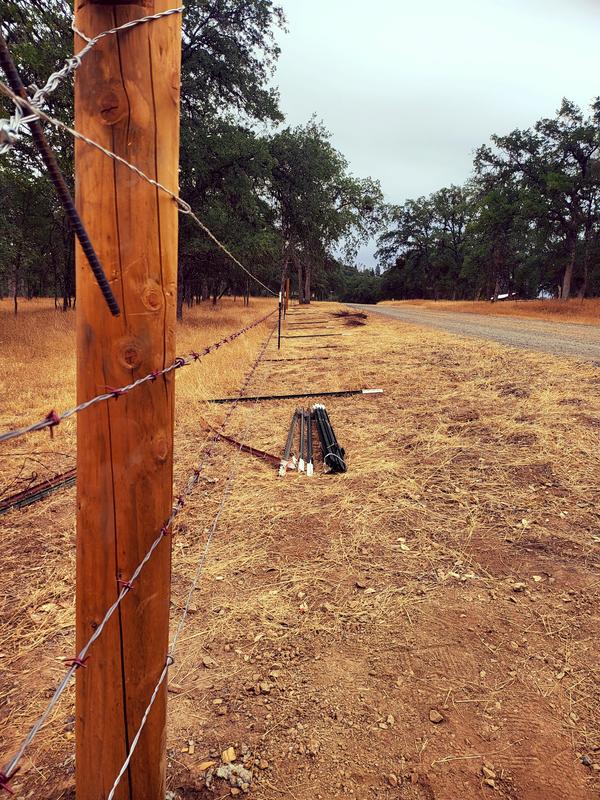 8 ft. x 6 in. Treated Wood Fence Post at Tractor Supply Co