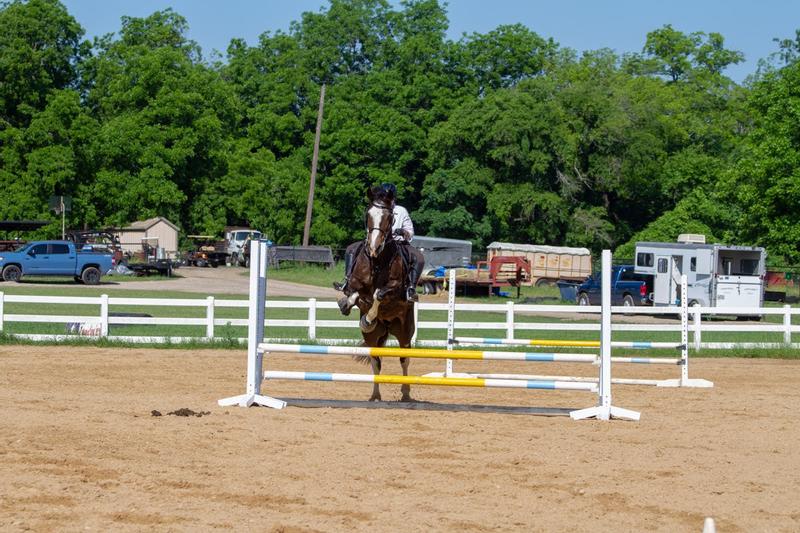 Purina Omolene #300 Growth Foal and Lactating Mare Horse Feed, 50 lb ...