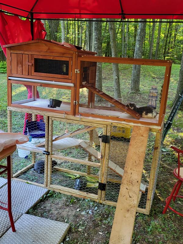 Ware Pet Products Rabbit Litter Box Training Kit at Tractor Supply Co