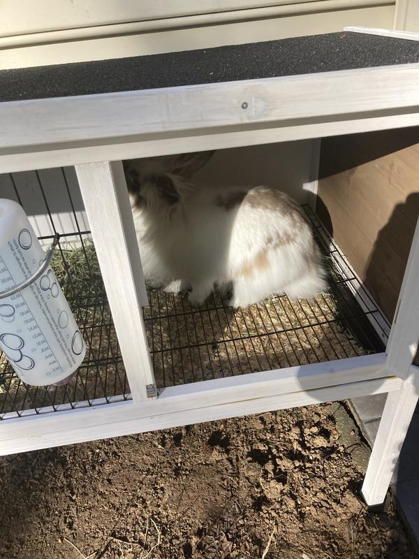 Zylina XL Extreme Rabbit Hutch at Tractor Supply Co