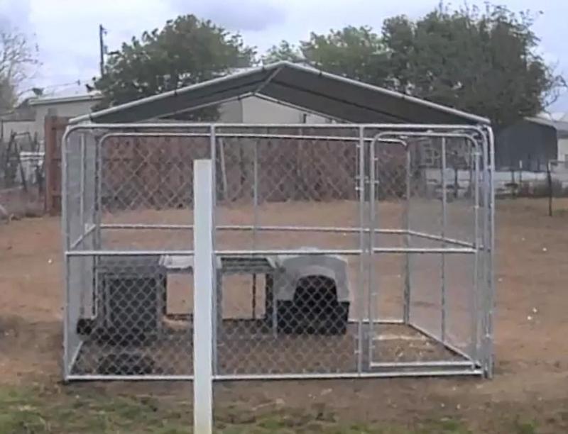 6 ft. x 10 ft. x 10 ft. Gold Series Complete Chain Link Dog Kennel at ...