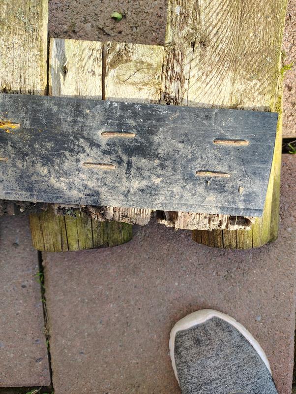 Greenes Fence Cedar Wood Landscape Edging at Tractor Supply Co