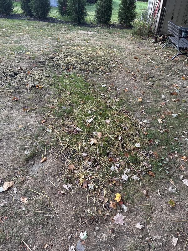 2-String Straw Bale at Tractor Supply Co