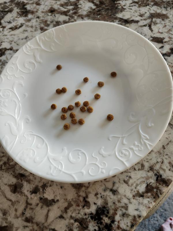 Hill's Science Diet Extra Small/Small Breed Adult Small and Mini ...
