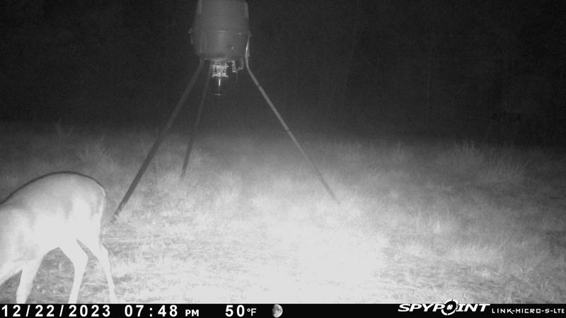 treeline 3-Person Wide Bottom Deer Blind, Camo at Tractor Supply Co.