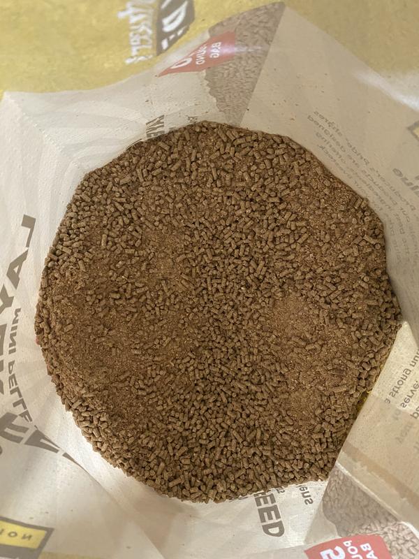 Producer's Pride 16% Layer Pelleted Chicken Feed, 50 lb. Bag at Tractor ...