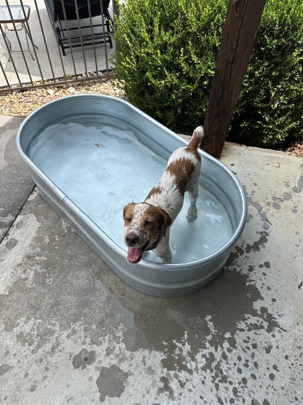 CountyLine 40 gal. Oval Galvanized Stock Tank, 2 ft. x 4 ft. x 1 ft. at ...