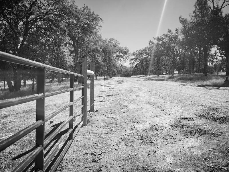 8 ft. x 6 in. Treated Wood Fence Post at Tractor Supply Co