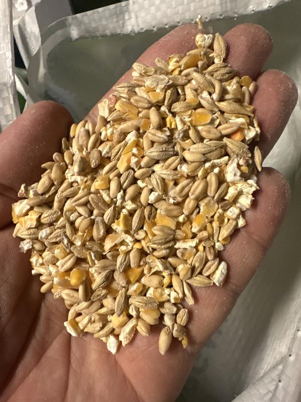 Purina Organic Premium Chicken Scratch Grains, 35 lb. Bag at Tractor ...