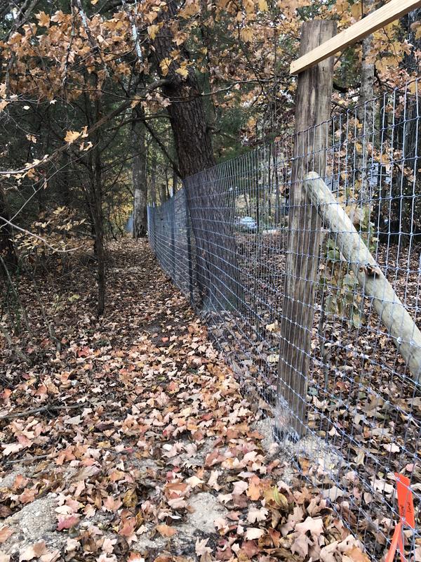 100 ft. x 60 in. Square Deal Non-Climb Horse Fence at Tractor Supply Co