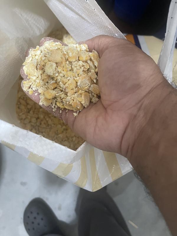 Grainland Select Rolled Corn Livestock Feed, 50 lb. Bag at Tractor ...