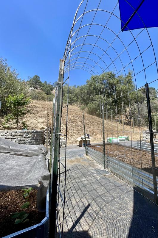 16 ft. x 50 in. Max 50 Feedlot 10-Line Galvanized Cattle Fence Panel at ...