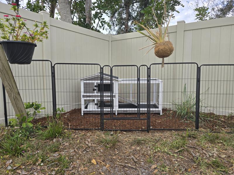 Aivituvin AIR19-B Indoor Outdoor Rabbit Hutch Bunny Cage (Inner Space 9 ...