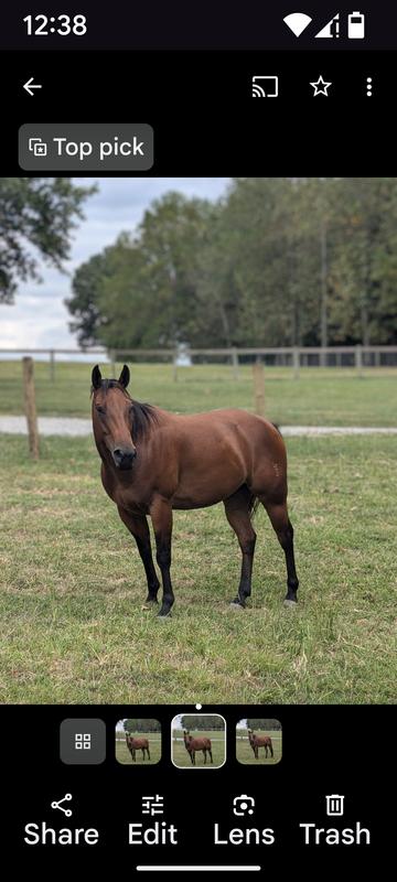 Purina Smart Edge Horse Feed, 50 lb. Bag at Tractor Supply Co