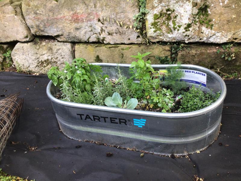 Tarter 8 cu. ft. Galvanized Oval Raised Bed Planter, 2 ft. x 1 ft. x 4 ...