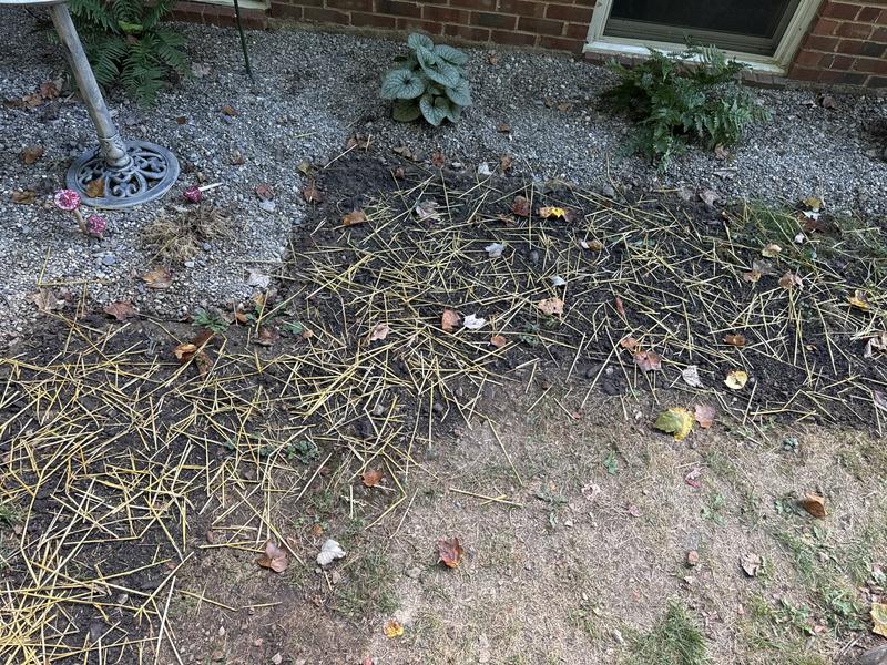 2-String Straw Bale at Tractor Supply Co