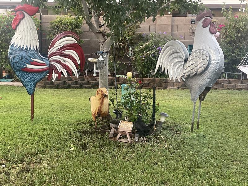 Red Shed Patriotic Metal Rooster, 6 ft. at Tractor Supply Co