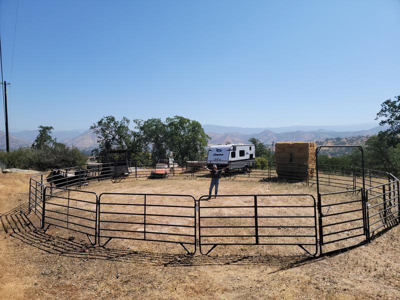 CountyLine 10 ft. 6-Bar Corral Panel, Gray at Tractor Supply Co