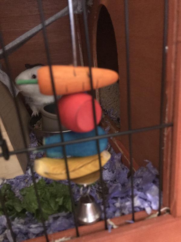 Kaytee Ka-Bob Chew Dispenser Small Animal Cage Toy, Large at Tractor ...