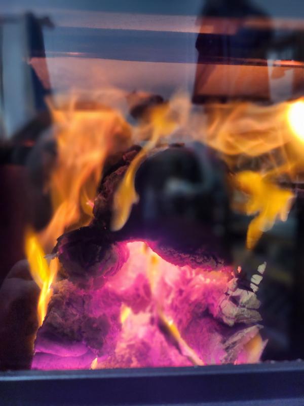 Grand Teton Collection Wood-Burning Targhee T100 Stove, 2,000 sq. ft ...