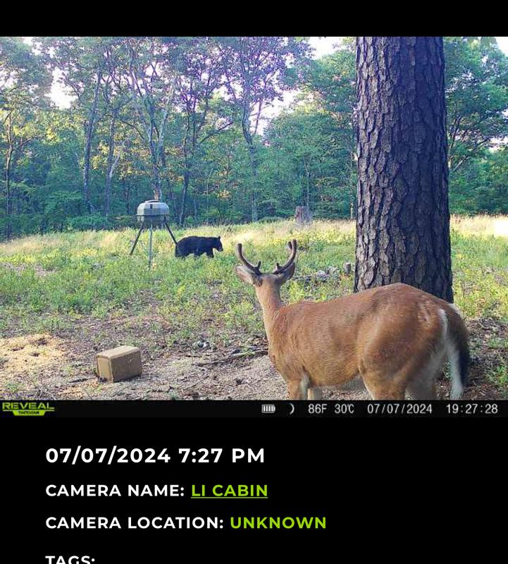 Purina AntlerMax Deer Block with Climate Guard, 33 lb. at Tractor Supply Co