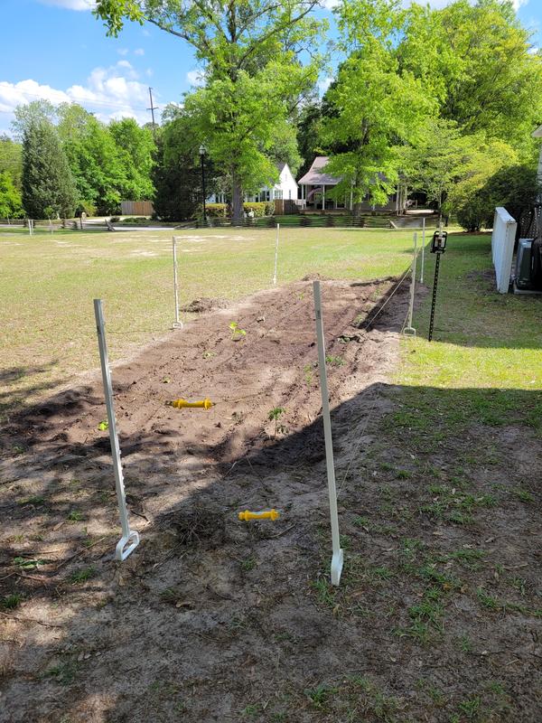 Field Guardian 60 in. Stirrup Fence Posts, White, 10 pk. at Tractor ...