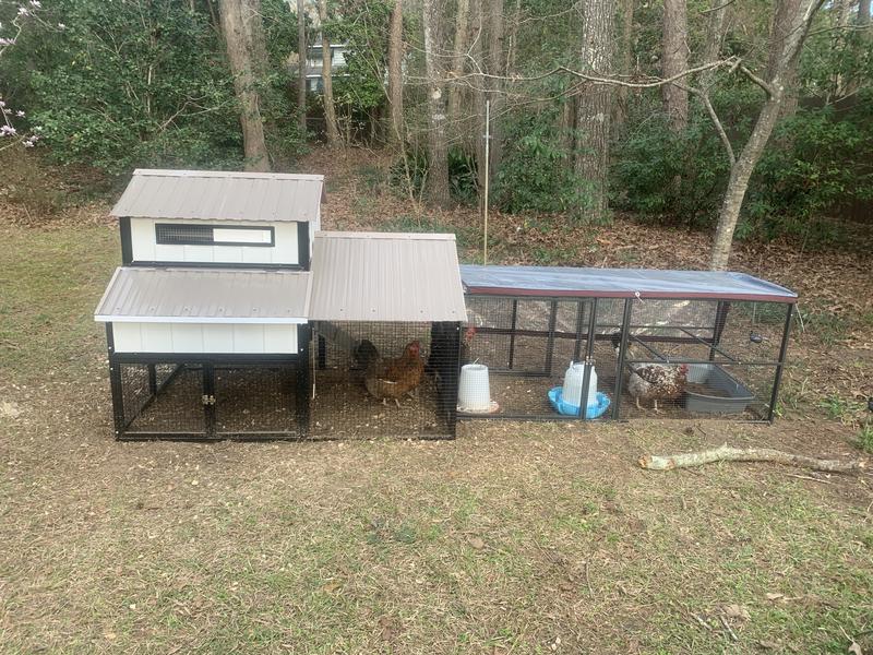 Producer's Pride Bungalow Coop, 6 Chicken Capacity at Tractor Supply Co