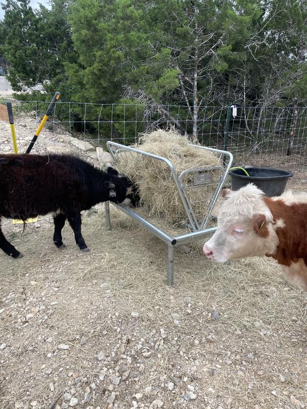 Rugged Ranch 1 Bale 4 ft. Galvanized Sheep and Goat Feeder at Tractor ...
