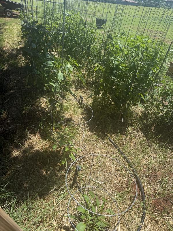 2-String Straw Bale at Tractor Supply Co