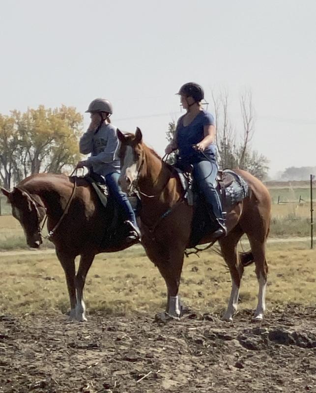Purina Smart Edge Horse Feed, 50 lb. Bag at Tractor Supply Co.