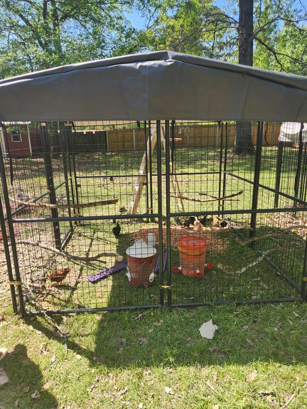 Producer's Pride Universal Poultry Pen, 24 Chicken Capacity, 8 ft. x 8 ...