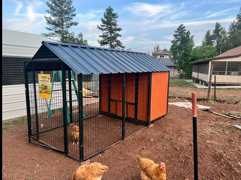 Producer's Pride Guardian Chicken Coop, 14 Chicken Capacity at Tractor ...