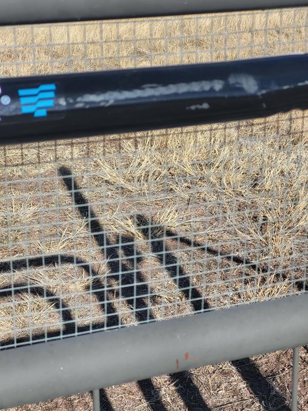 Tarter 3 ft. x 50 in. Wire Filled Gate, 2 in. x 4 in. Mesh, Black at ...