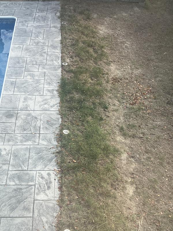 GroundWork 50 lb. 35,000 sq. ft. Fast Lawn Grass Seed Mixture at ...