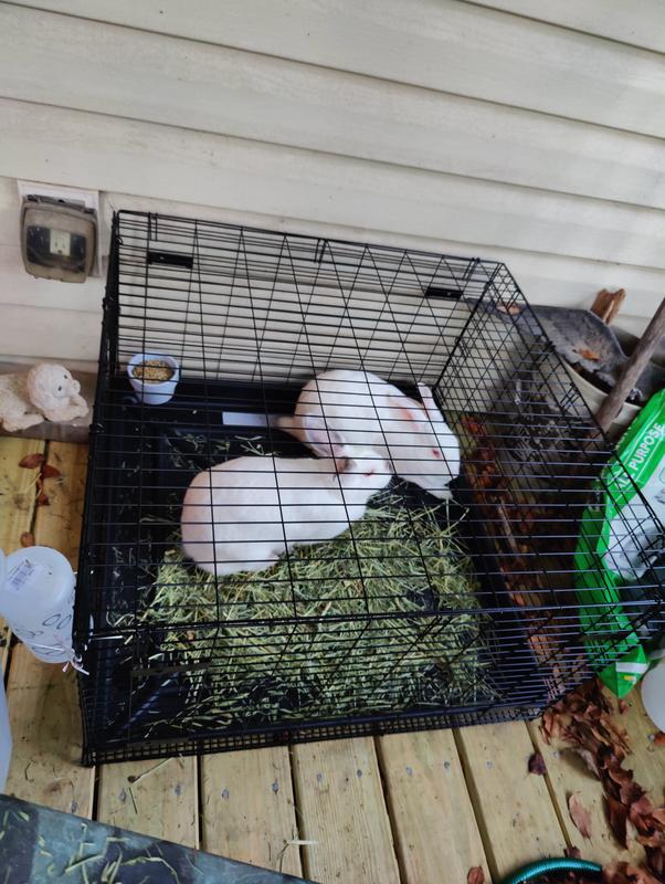 DuMOR Heavy-Duty Rabbit Cage, 30 in. x 30 in. at Tractor Supply Co