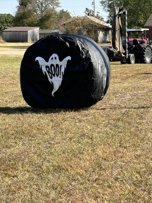 Country Canvas Holiday Bale Cover, 4 in. x 8.5 in. x 11 in., Christmas ...