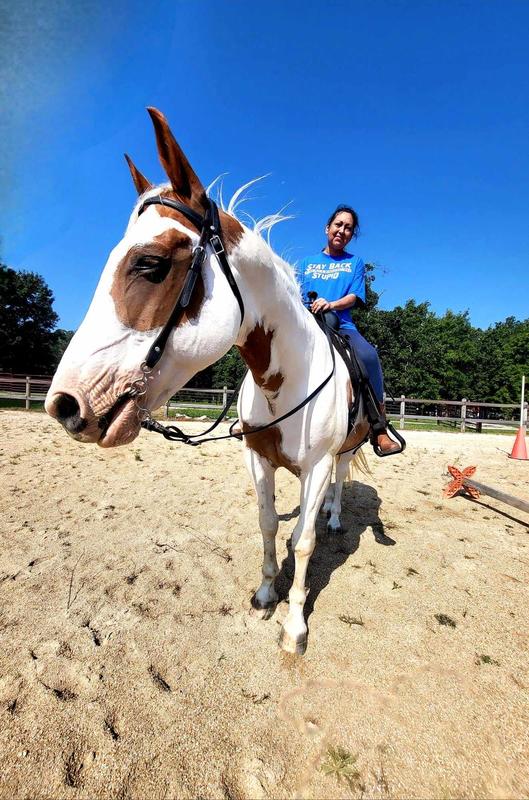 Nutrena ProForce Fuel Textured Horse Feed, 50 lb. Bag at Tractor Supply Co