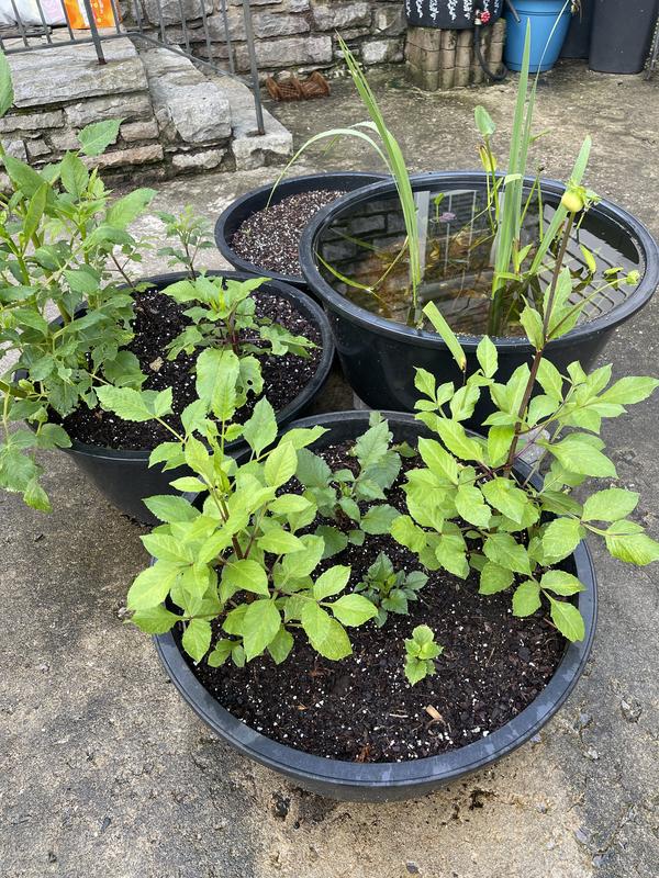 Tuff Stuff 25 gal. Heavy-Duty Round Stock Tank at Tractor Supply Co