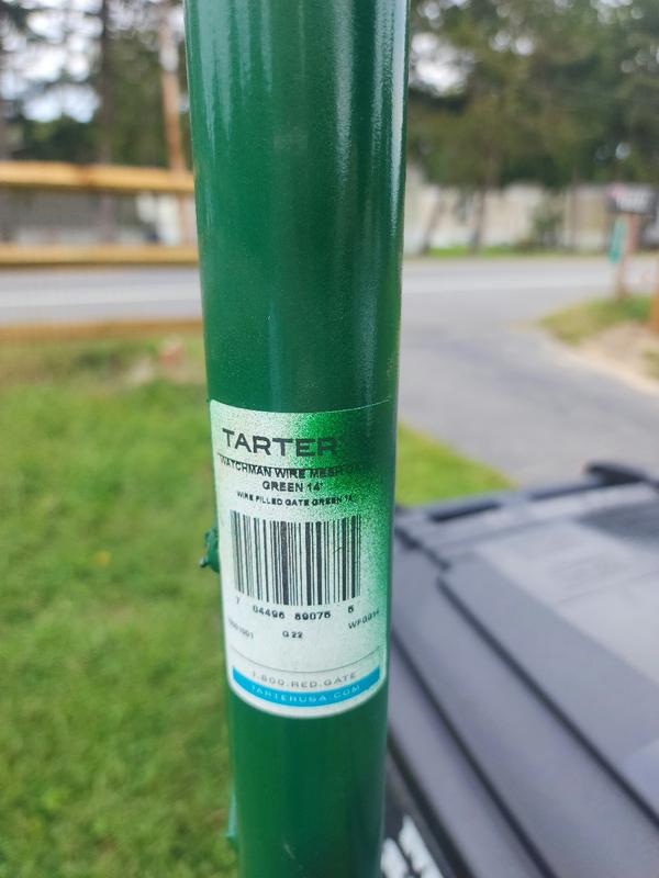 Tarter 14 ft. x 50 in. Wire Filled Gate, 2 in. x 4 in. Mesh, Green at ...