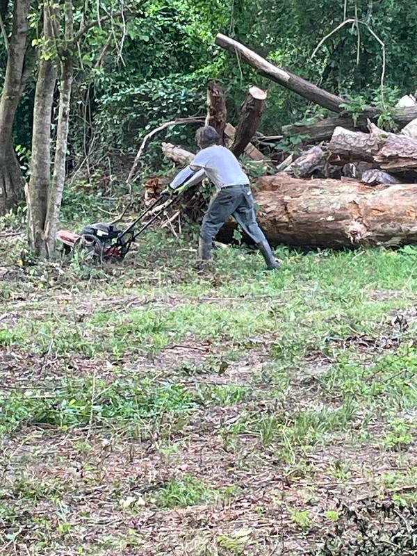 Earthquake 22 in. Gas-Powered Walk-Behind String Mower, 160cc Viper ...