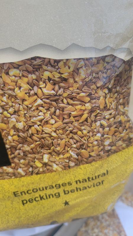 Producer's Pride Scratch Grains Poultry Feed, 50 lb. Bag at Tractor ...