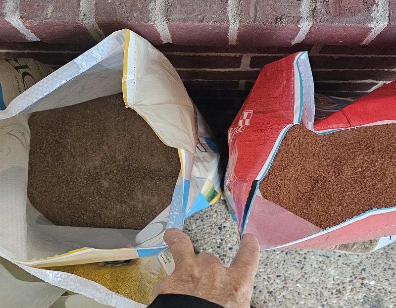 DuMOR 16% Layer Crumbled Chicken Feed at Tractor Supply Co