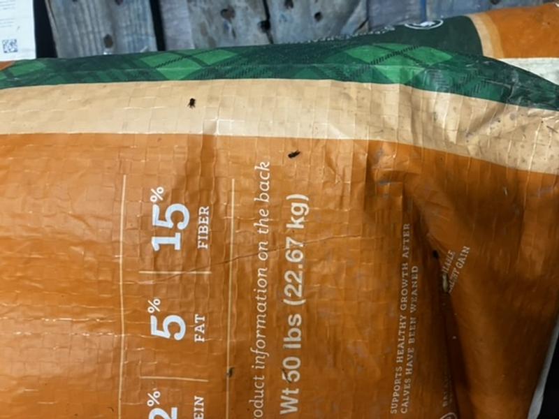 Nutrena NutreBeef Grower/Finisher Cattle Supplement, 50 lb. at Tractor ...