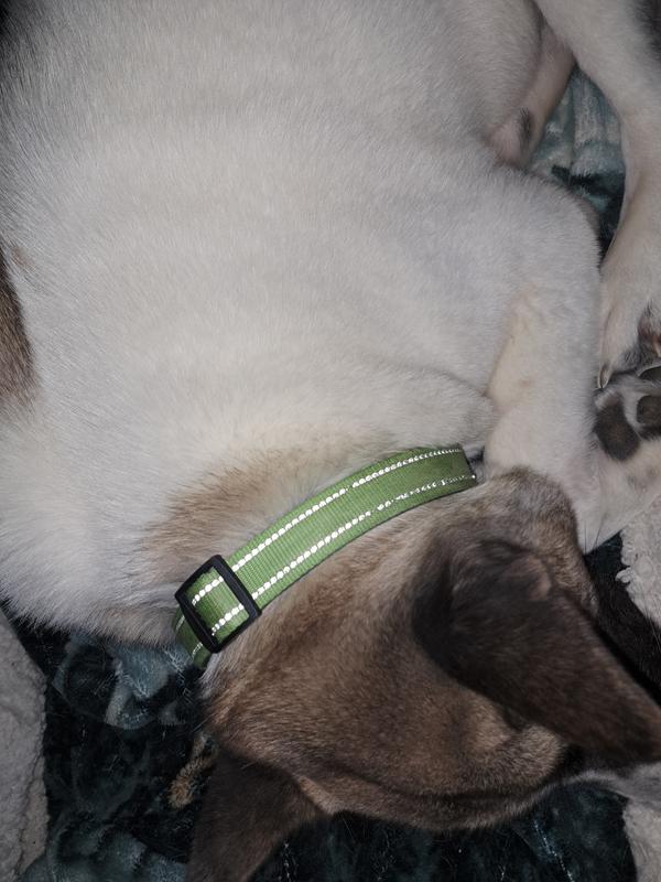 Sportmix CanineX All Life Stages Performance Grain-Free Chicken Recipe ...