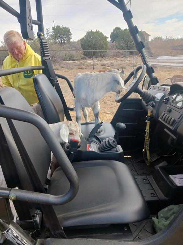 BMS Motorsports Colt 700 LSX 4 Seat UTV at Tractor Supply Co