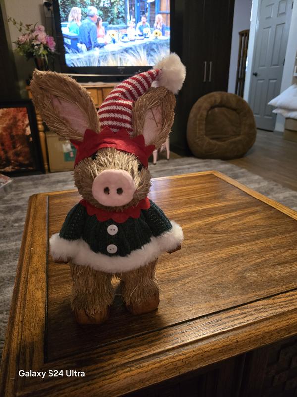 Red Shed Elf Pig Tabletop Decor at Tractor Supply Co