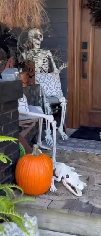 Red Shed 31 in. Gator Skeleton at Tractor Supply Co