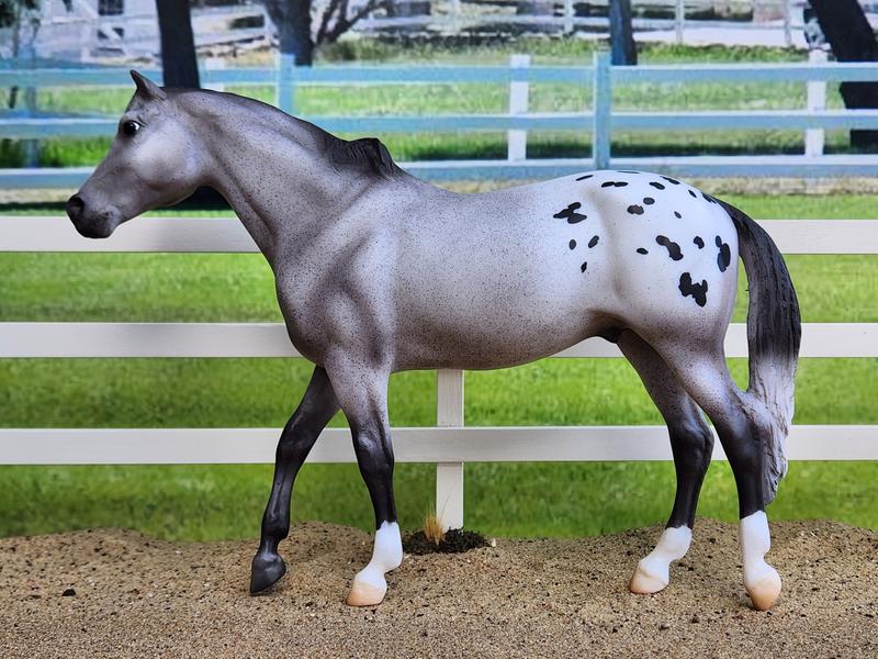Breyer Colby Appaloosa Horse Figurine, TSC Exclusive at Tractor Supply Co