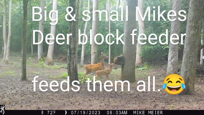 Purina AntlerMax Deer Block with Climate Guard, 33 lb. at Tractor Supply Co